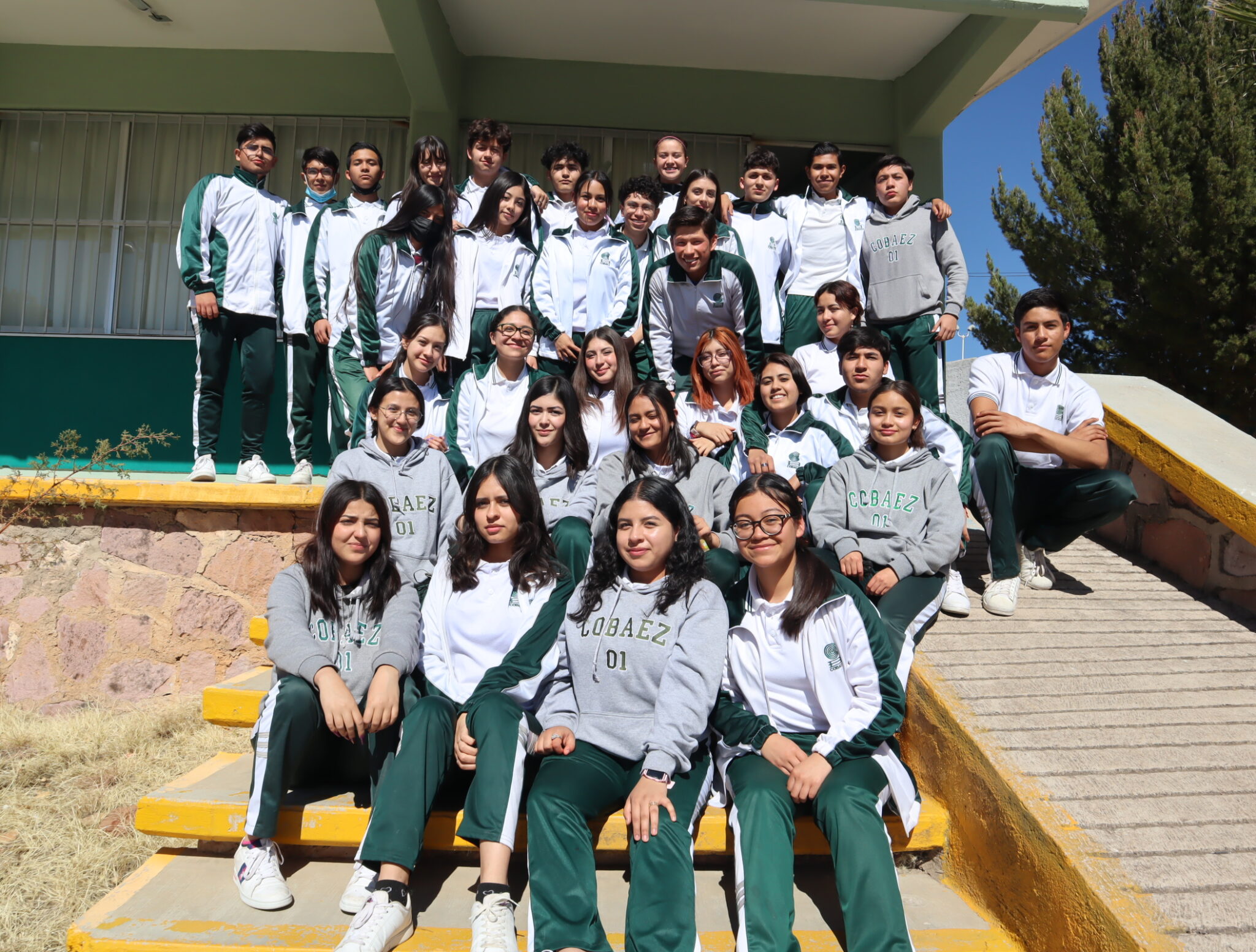 Nuevo Ingreso – Colegio de Bachilleres del Estado de Zacatecas
